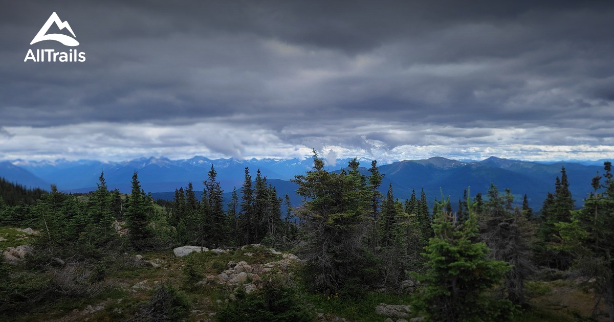 Mount Murray - hikes and trails to get you there | AllTrails