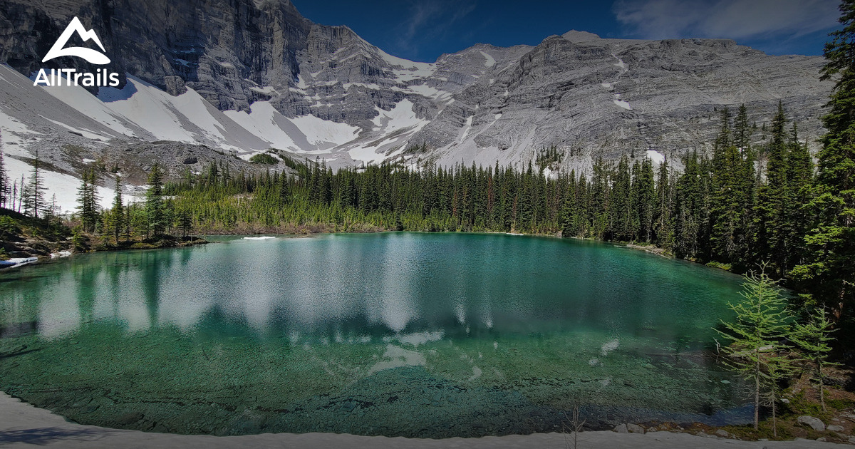 Bogart Tower - hikes and trails to get you there | AllTrails