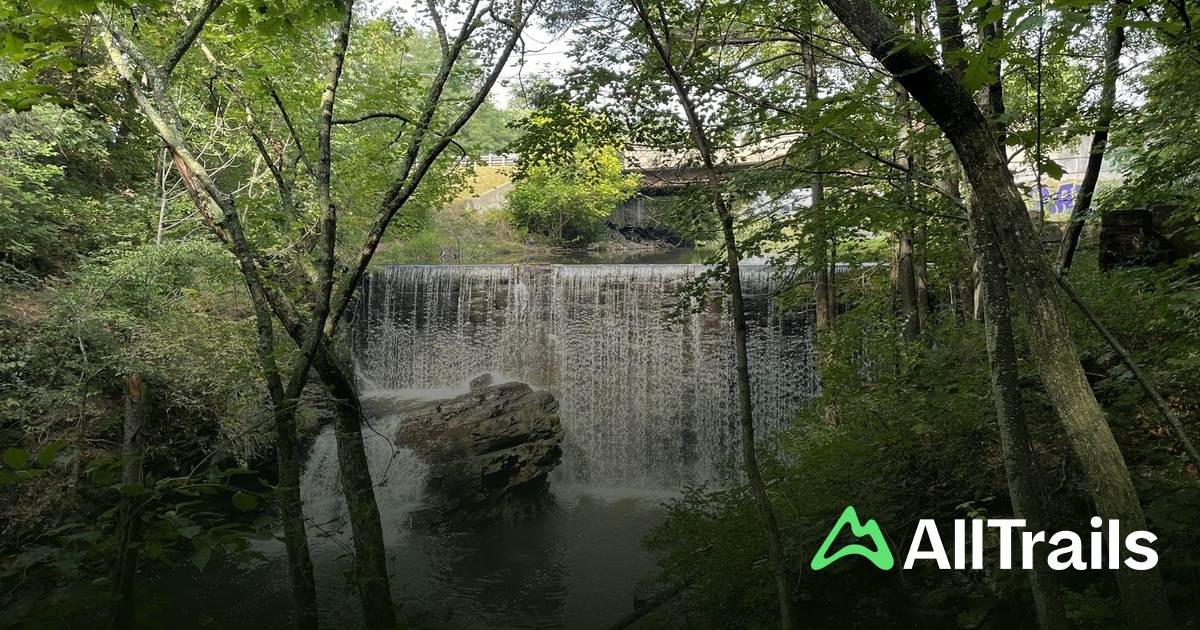 Dobsonville Pond Dam - hikes and trails to get you there | AllTrails