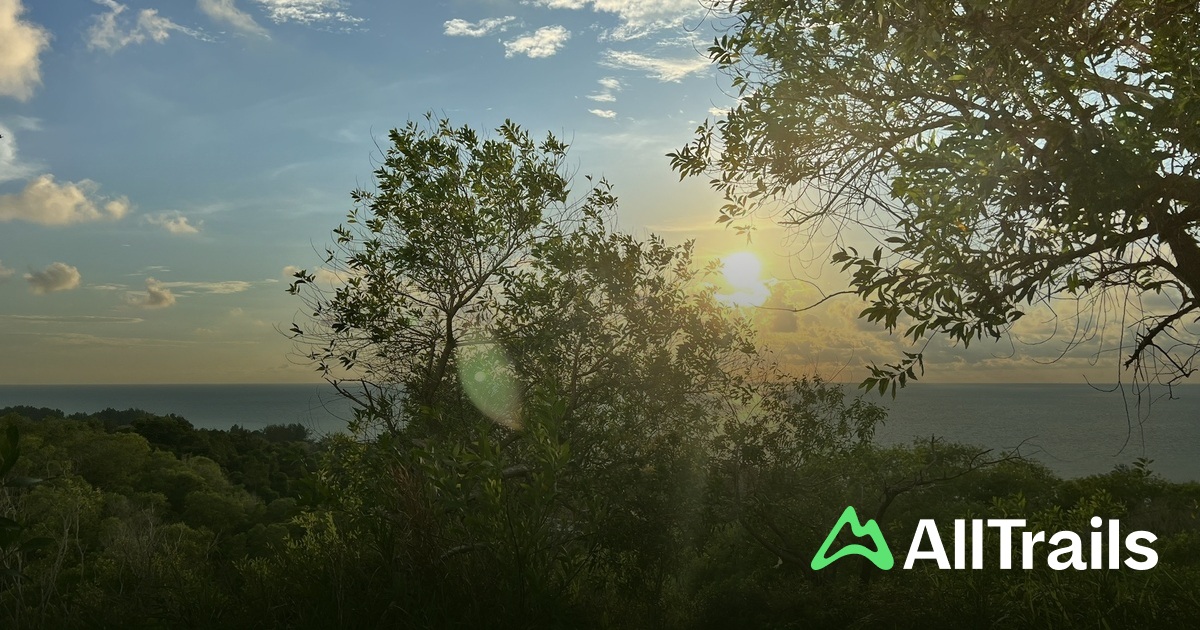 Batu Manikar Beach - hikes and trails to get you there | AllTrails