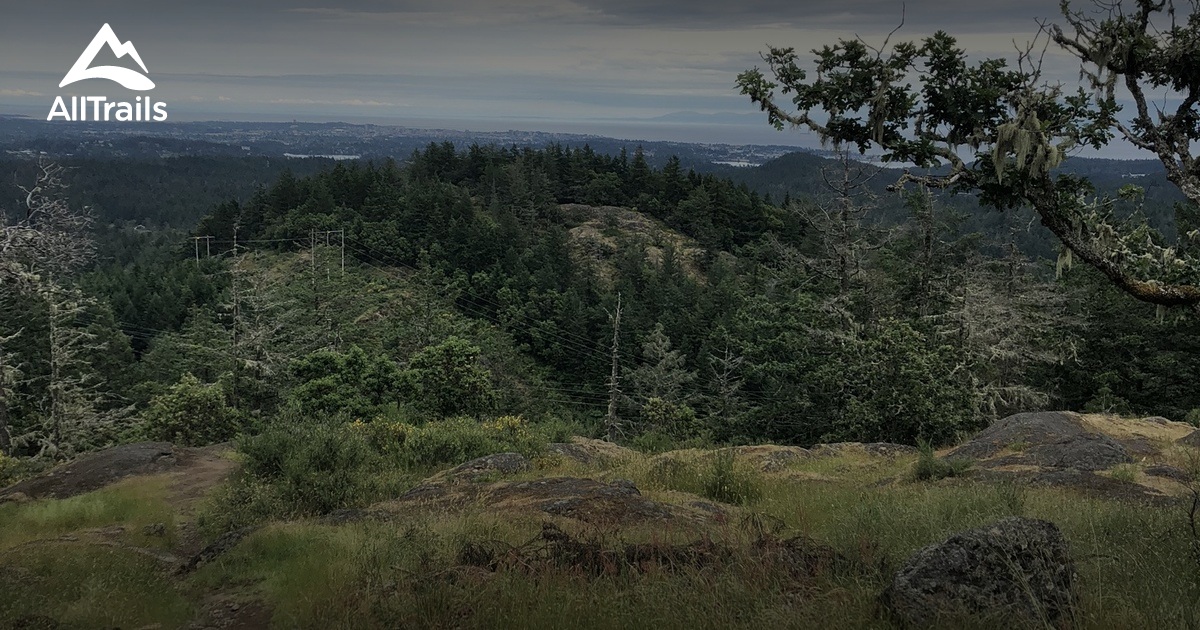 Mount Stewart - hikes and trails to get you there | AllTrails