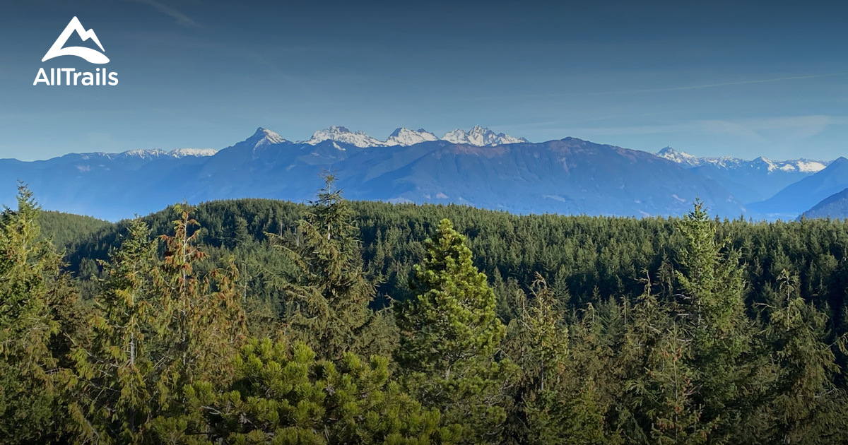 Vedder Mountain - hikes and trails to get you there | AllTrails