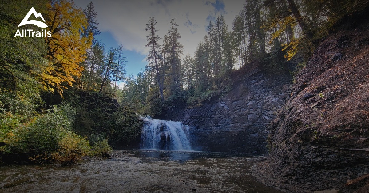 Trent River Falls - hikes and trails to get you there | AllTrails