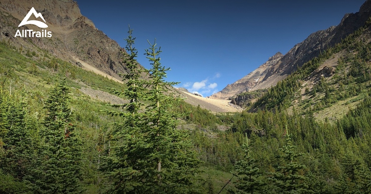 Best trails near Mount Nelson | AllTrails