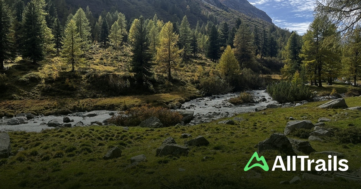 Muot da Crasta - hikes and trails to get you there | AllTrails