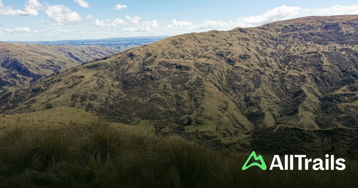 Pulpit Rock - hikes and trails to get you there | AllTrails