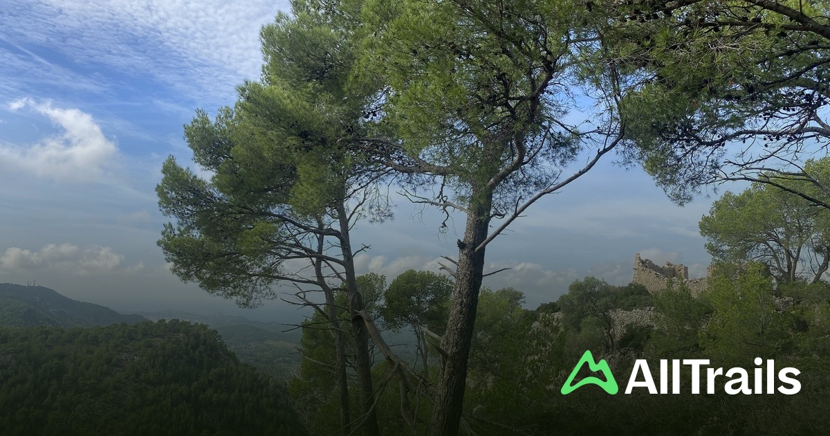 Bästa lederna nära puig de sa Coma del Sec | AllTrails