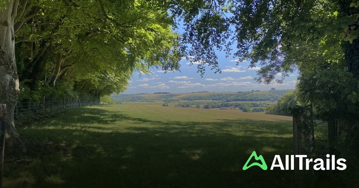 Ansty Down - hikes and trails to get you there | AllTrails