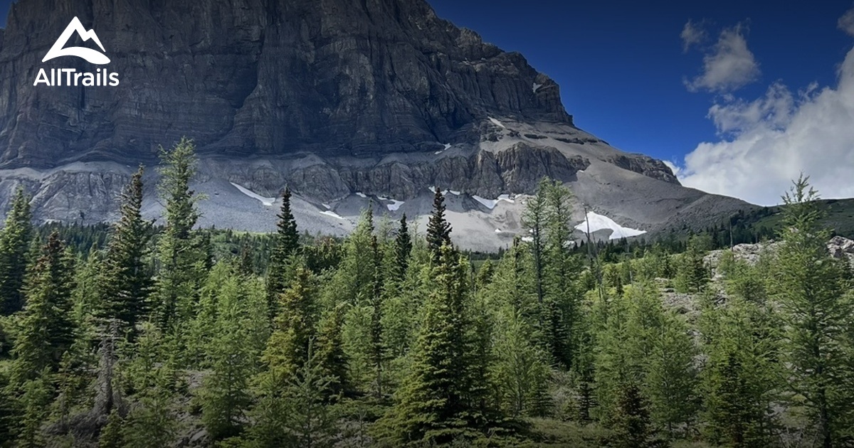 Beehive Mountain - hikes and trails to get you there | AllTrails