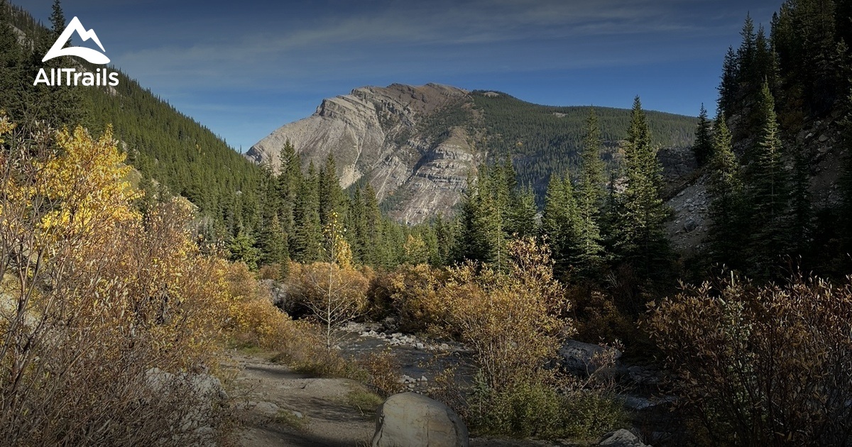 Luscar Mountain: Die besten Routen in der Umgebung | AllTrails