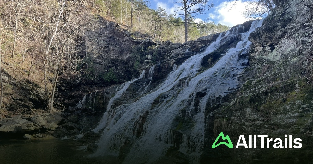 Salt Creek Falls - hikes and trails to get you there | AllTrails