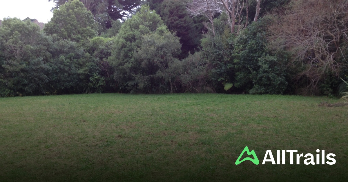 Fish Ladder Waterfall - hikes and trails to get you there | AllTrails