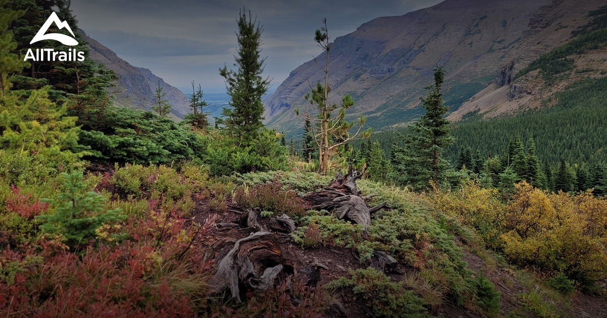 Drywood Mountain - hikes and trails to get you there | AllTrails