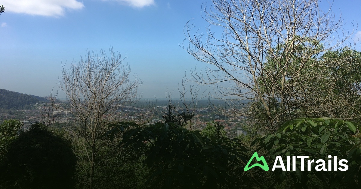 Sam Choon Viewpoint - hikes and trails to get you there | AllTrails