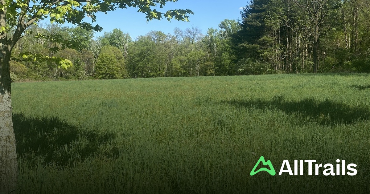 Mount Freedom - hikes and trails to get you there | AllTrails