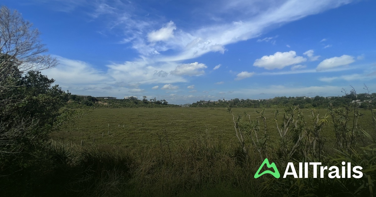 Tank Farm - hikes and trails to get you there | AllTrails