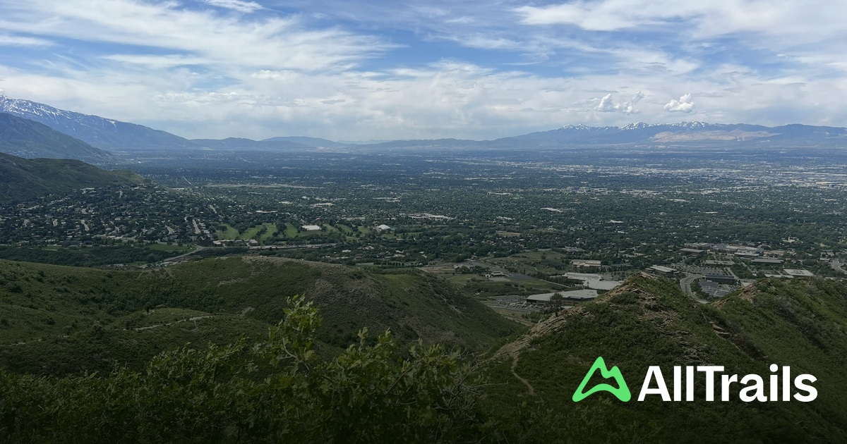 Mount Wire - hikes and trails to get you there | AllTrails