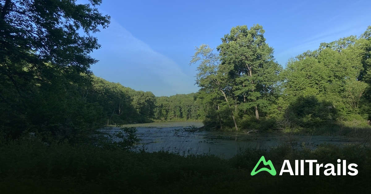 Allamuchy Mountain - hikes and trails to get you there | AllTrails