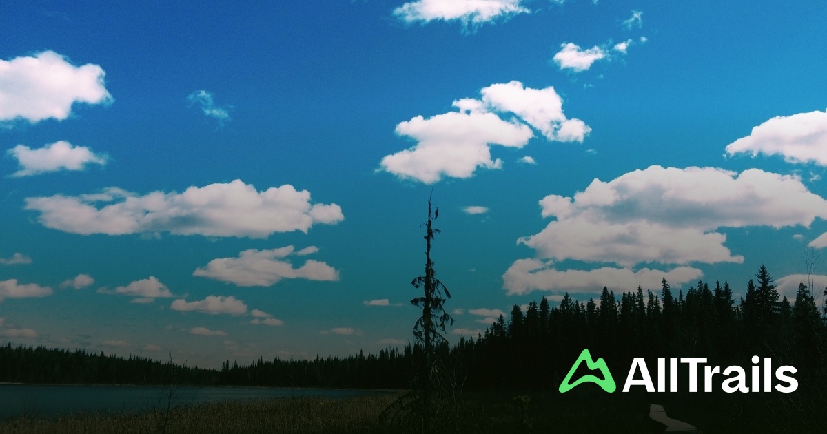 Best trails near Ferguson Lake | AllTrails