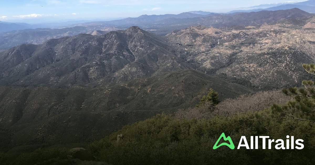 Hot Springs Mountain - hikes and trails to get you there | AllTrails