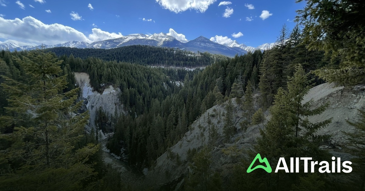 Cedar Lake - hikes and trails to get you there | AllTrails