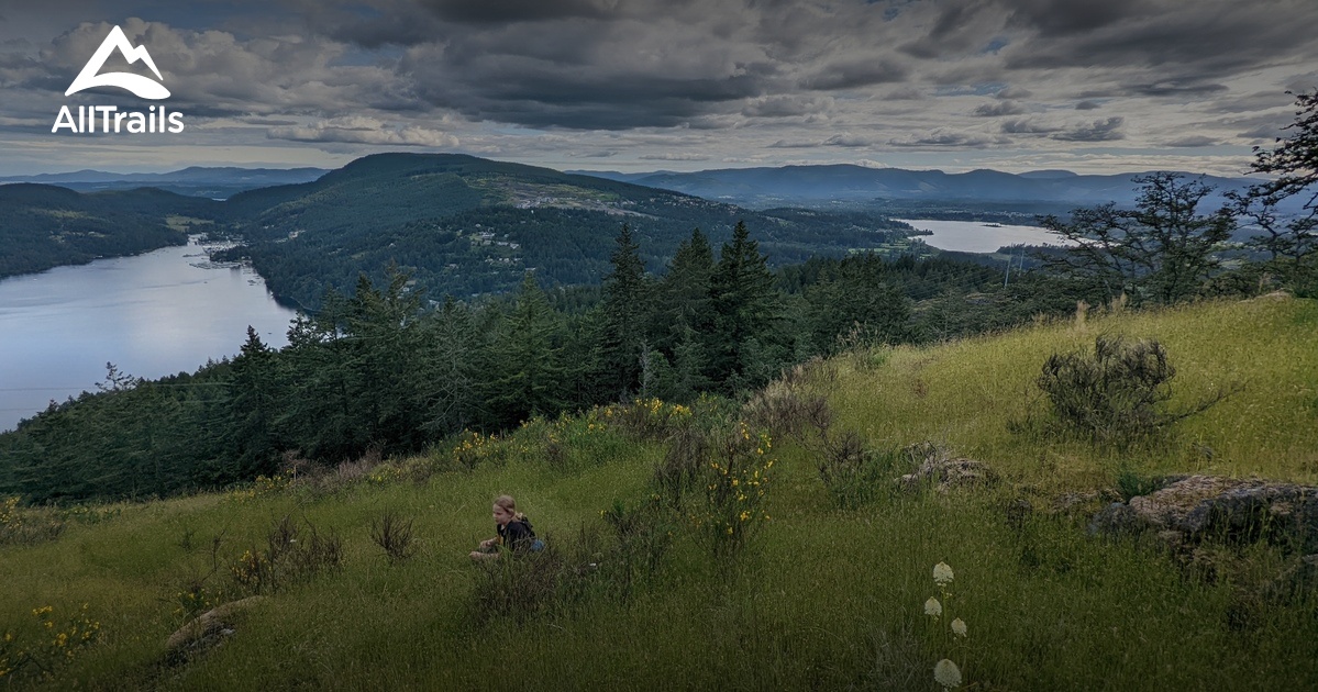 Maple Mountain - hikes and trails to get you there | AllTrails