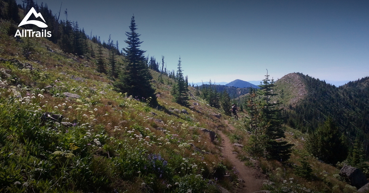 Mount Plewman - hikes and trails to get you there | AllTrails