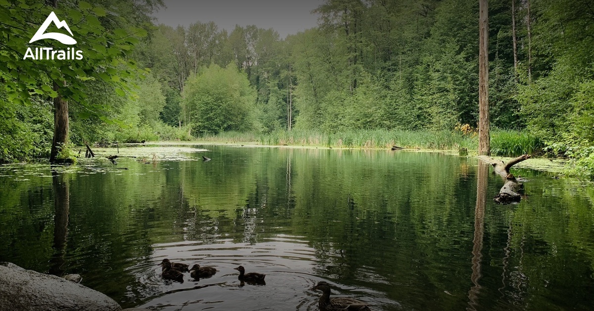 Mount Everett - hikes and trails to get you there | AllTrails