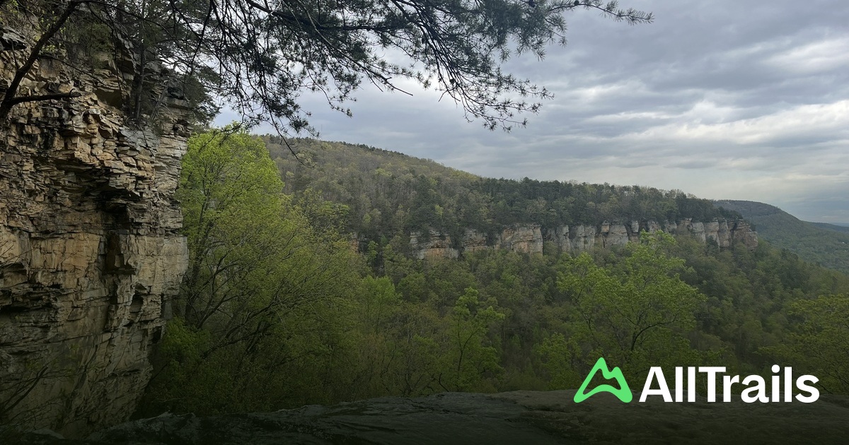 Falling Water Falls 110 - hikes and trails to get you there | AllTrails