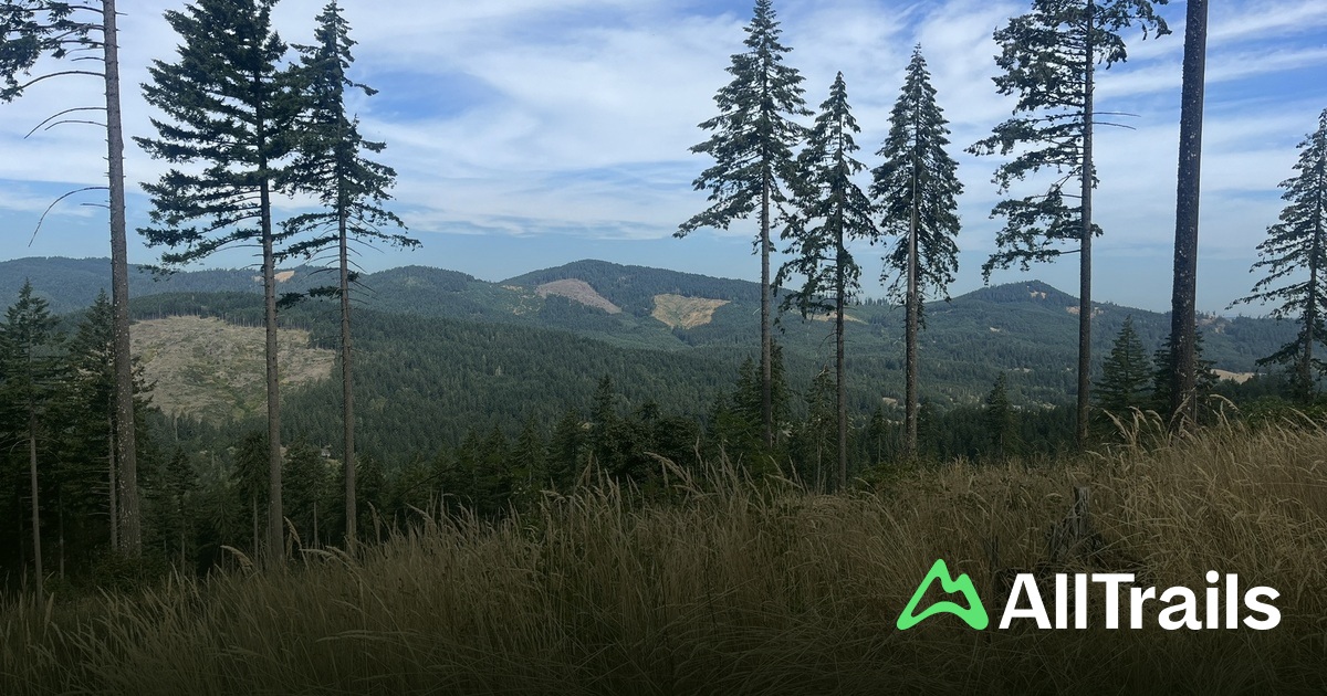 Vineyard Mountain - hikes and trails to get you there | AllTrails