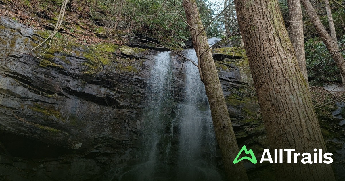 Sill Branch Falls - hikes and trails to get you there | AllTrails