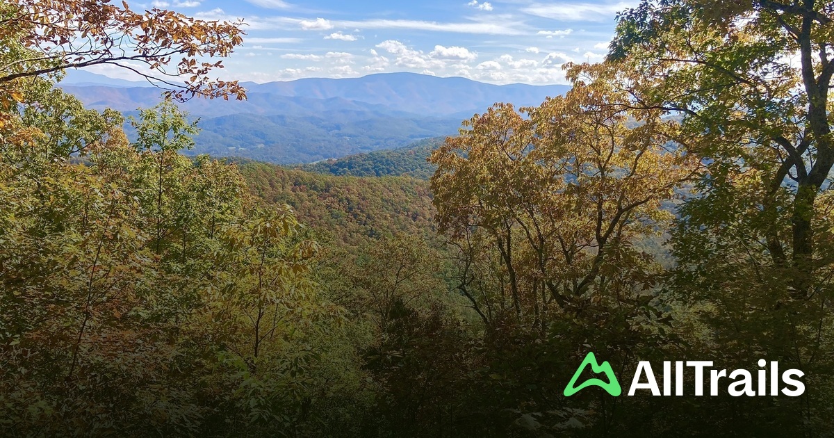 Huckleberry Knob - hikes and trails to get you there | AllTrails