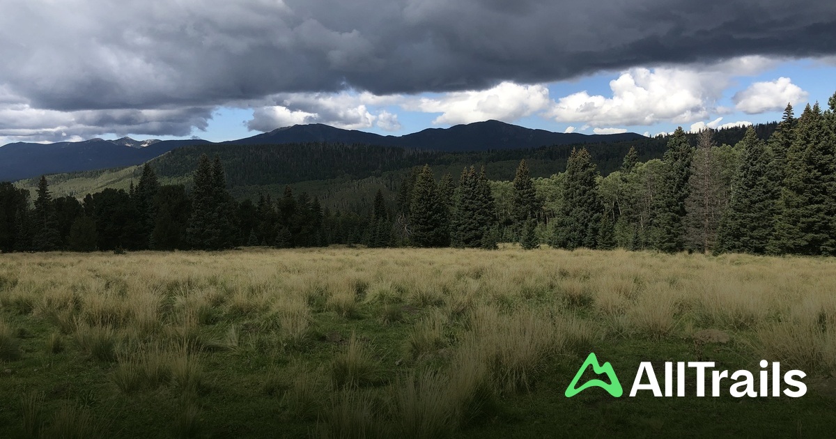 Quemado Falls - hikes and trails to get you there | AllTrails