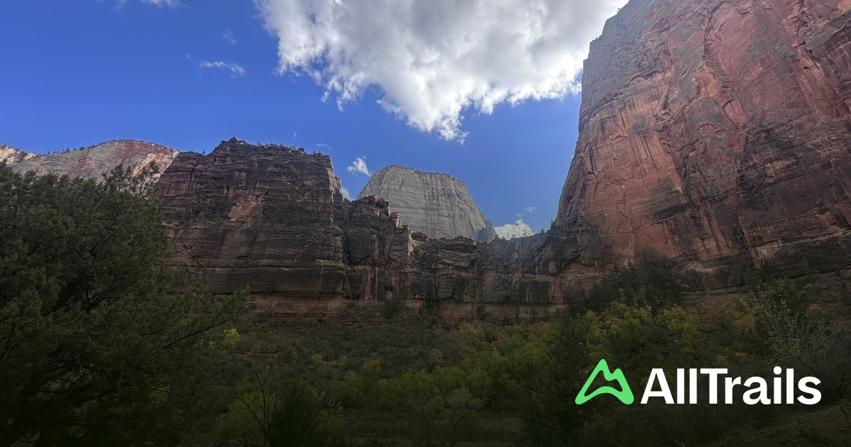 Big Bend Viewpoint - hikes and trails to get you there | AllTrails