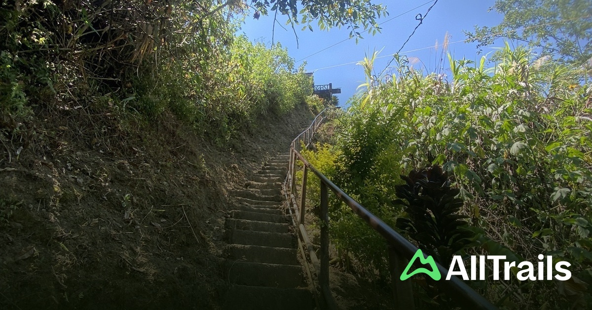 Banaue Rice Terraces View Point - hikes and trails to get you there ...