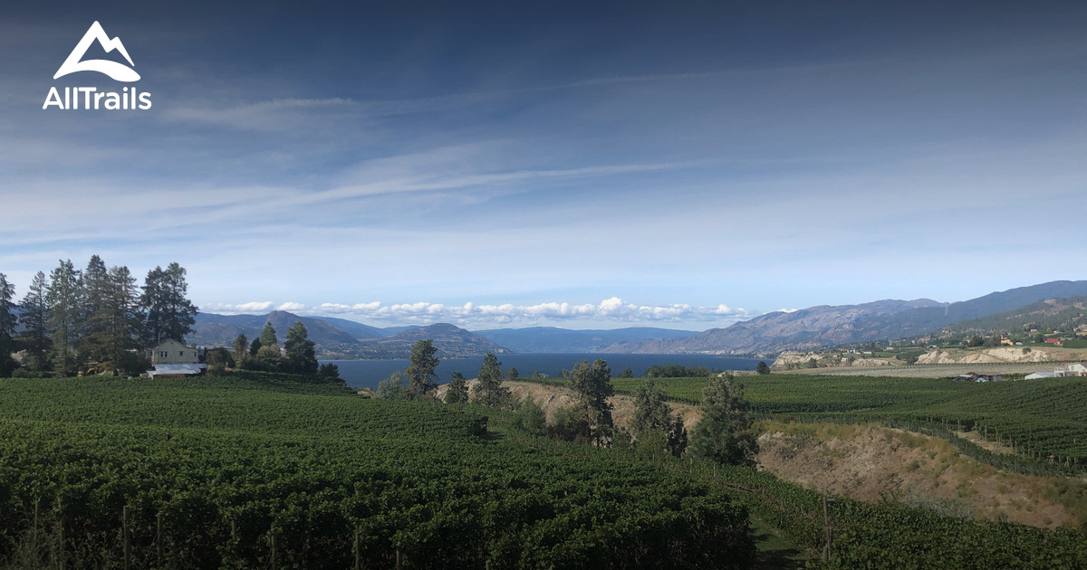 Munson Mountain - hikes and trails to get you there | AllTrails