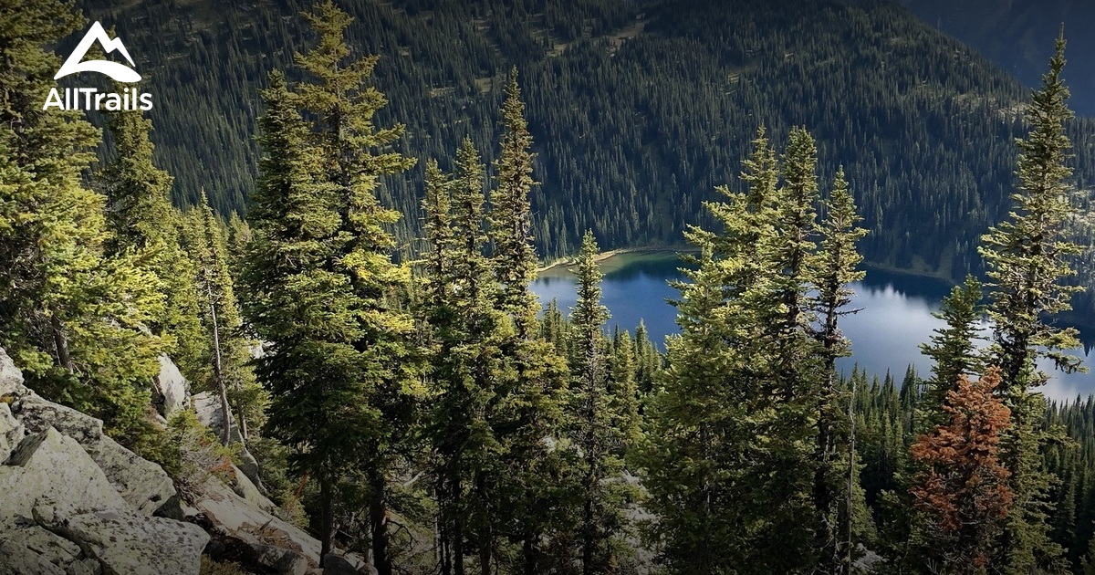 Mount Macpherson - hikes and trails to get you there | AllTrails