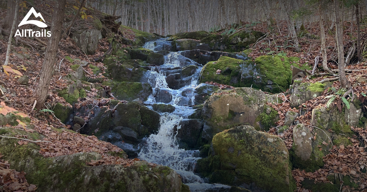 Seven Falls - hikes and trails to get you there | AllTrails