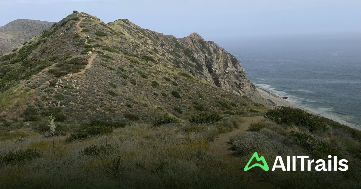 I migliori sentieri vicino a Hike and Bike Campsites | AllTrails