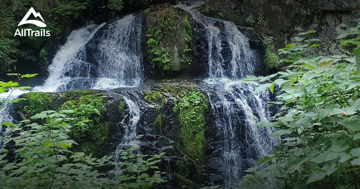 Steelhead Falls - hikes and trails to get you there | AllTrails