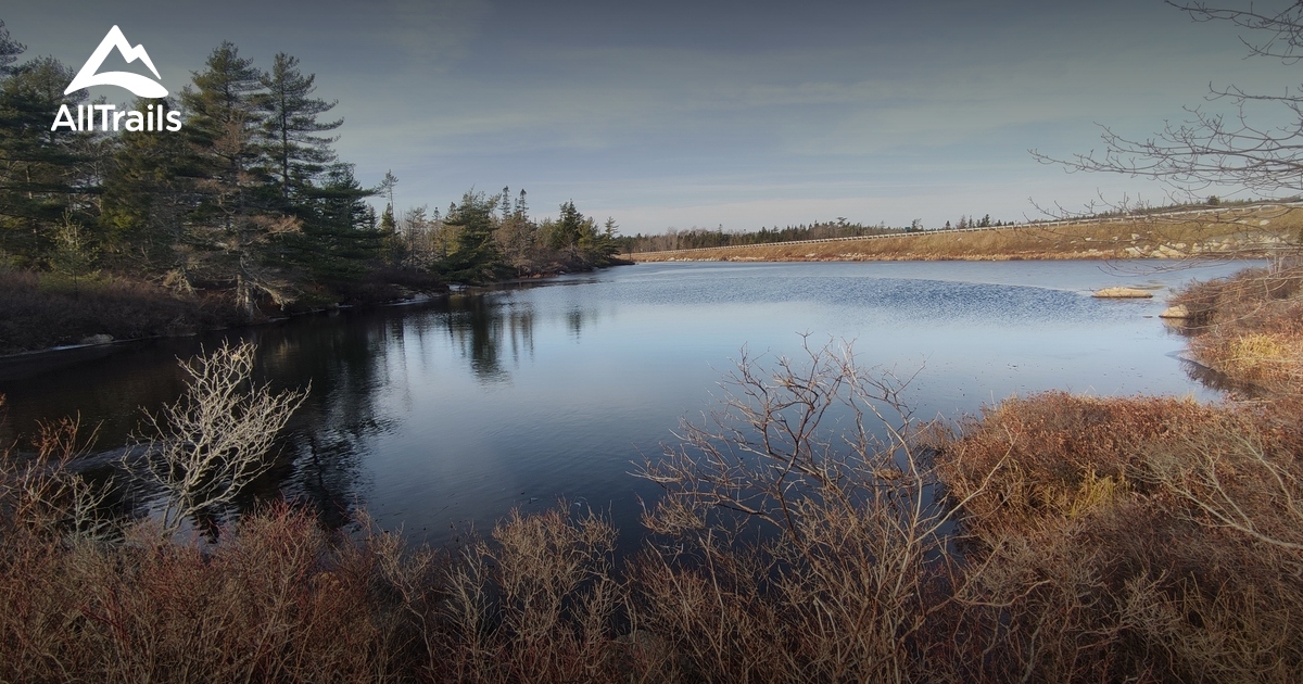 Six Mile Falls - hikes and trails to get you there | AllTrails