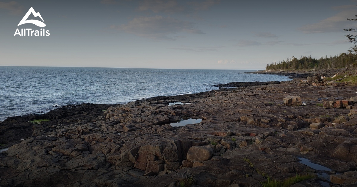 Delaps Cove Waterfalls - hikes and trails to get you there | AllTrails