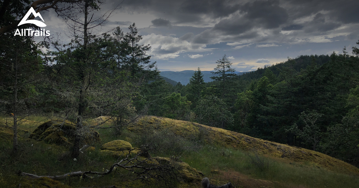 Best trails near Cole Hill | AllTrails