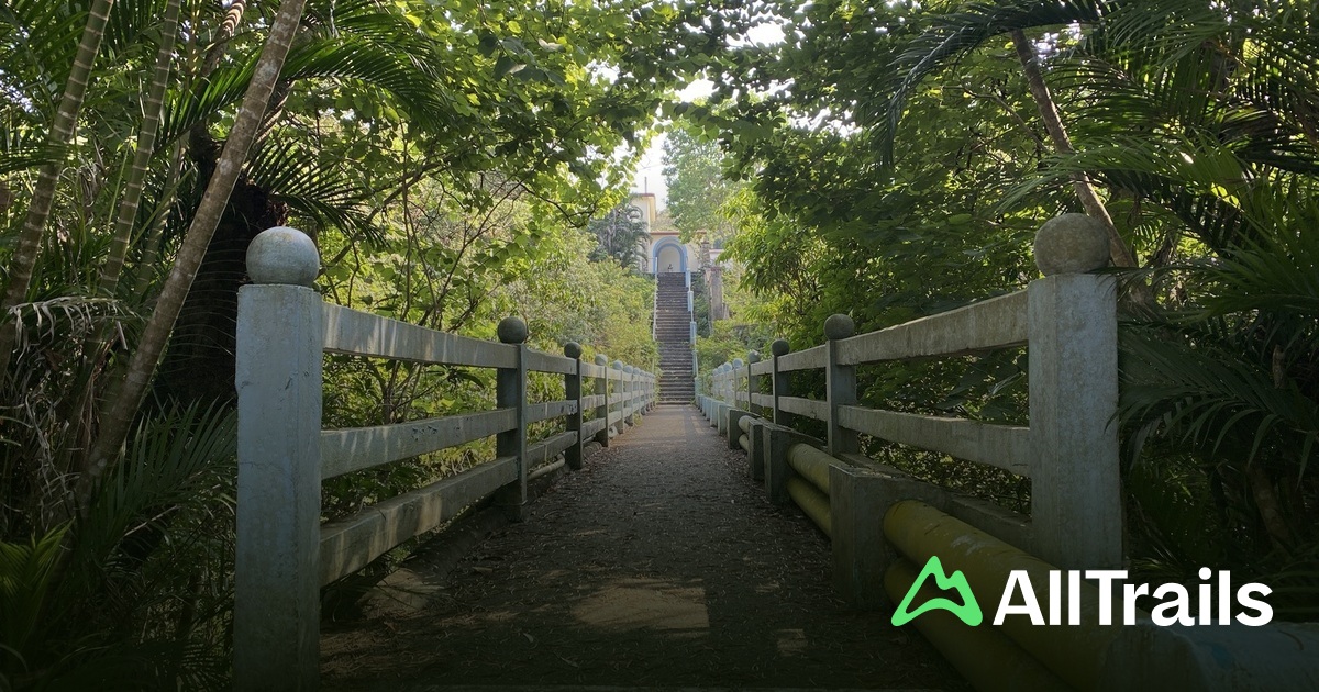 I migliori sentieri vicino a 愉景灣水塘 Discovery Bay Reservoir | AllTrails