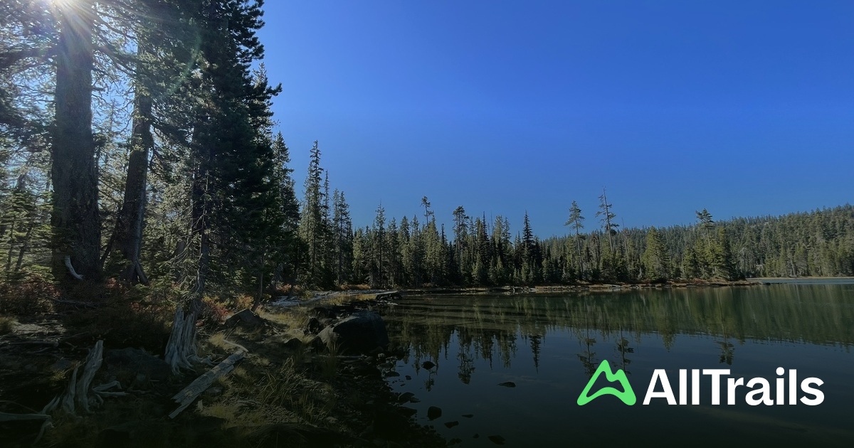 Trapper Lake - hikes and trails to get you there | AllTrails