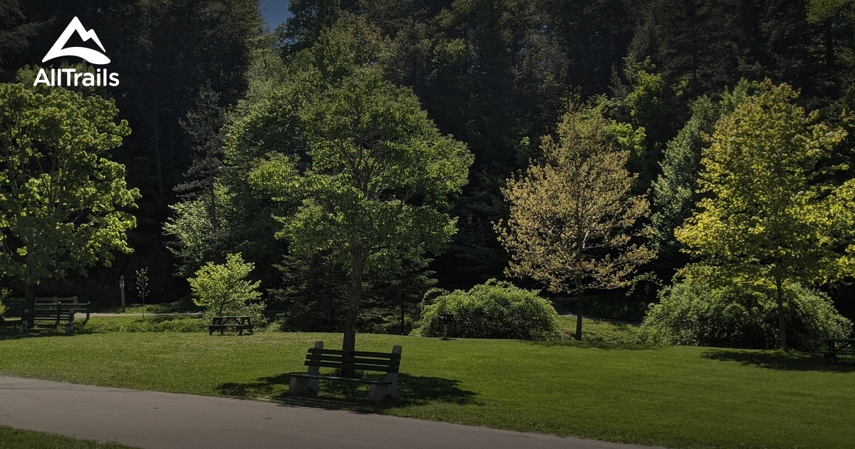 Joe Howe Falls - hikes and trails to get you there | AllTrails