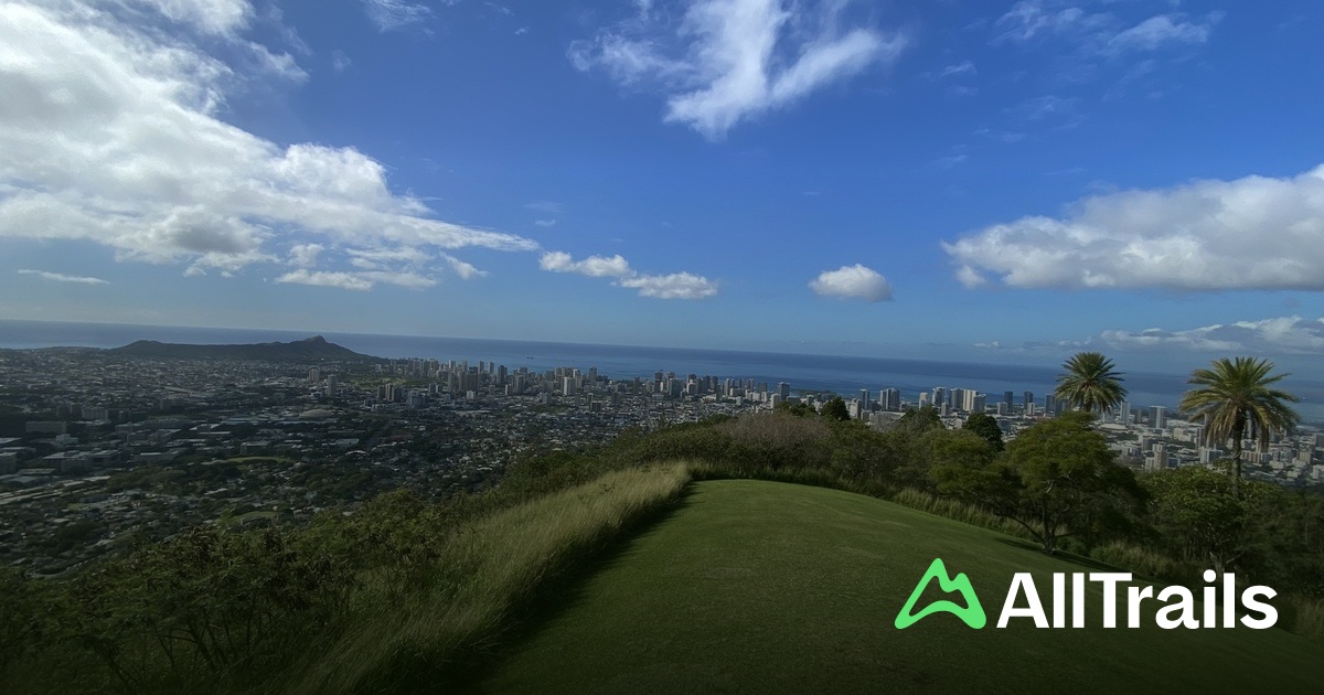 Scenic View - hikes and trails to get you there | AllTrails