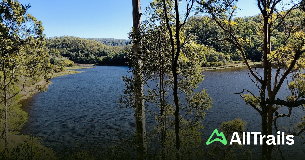 Gold Creek Reservoir - hikes and trails to get you there | AllTrails