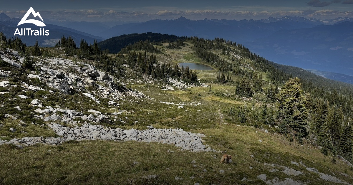 Mount Hall - hikes and trails to get you there | AllTrails