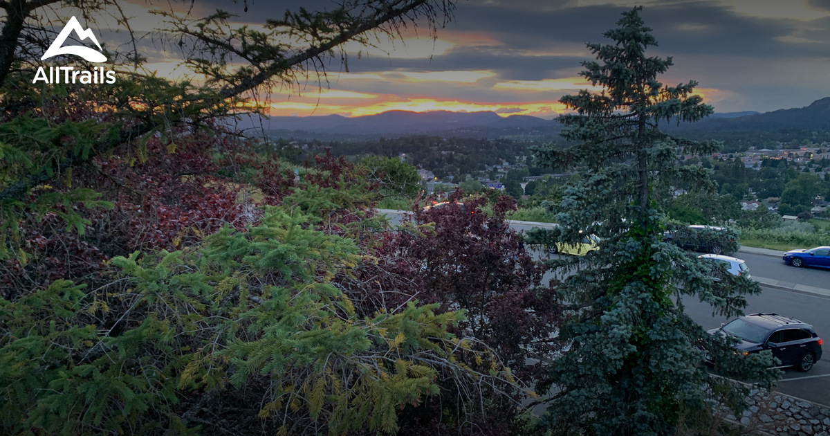 Mount Tolmie - hikes and trails to get you there | AllTrails